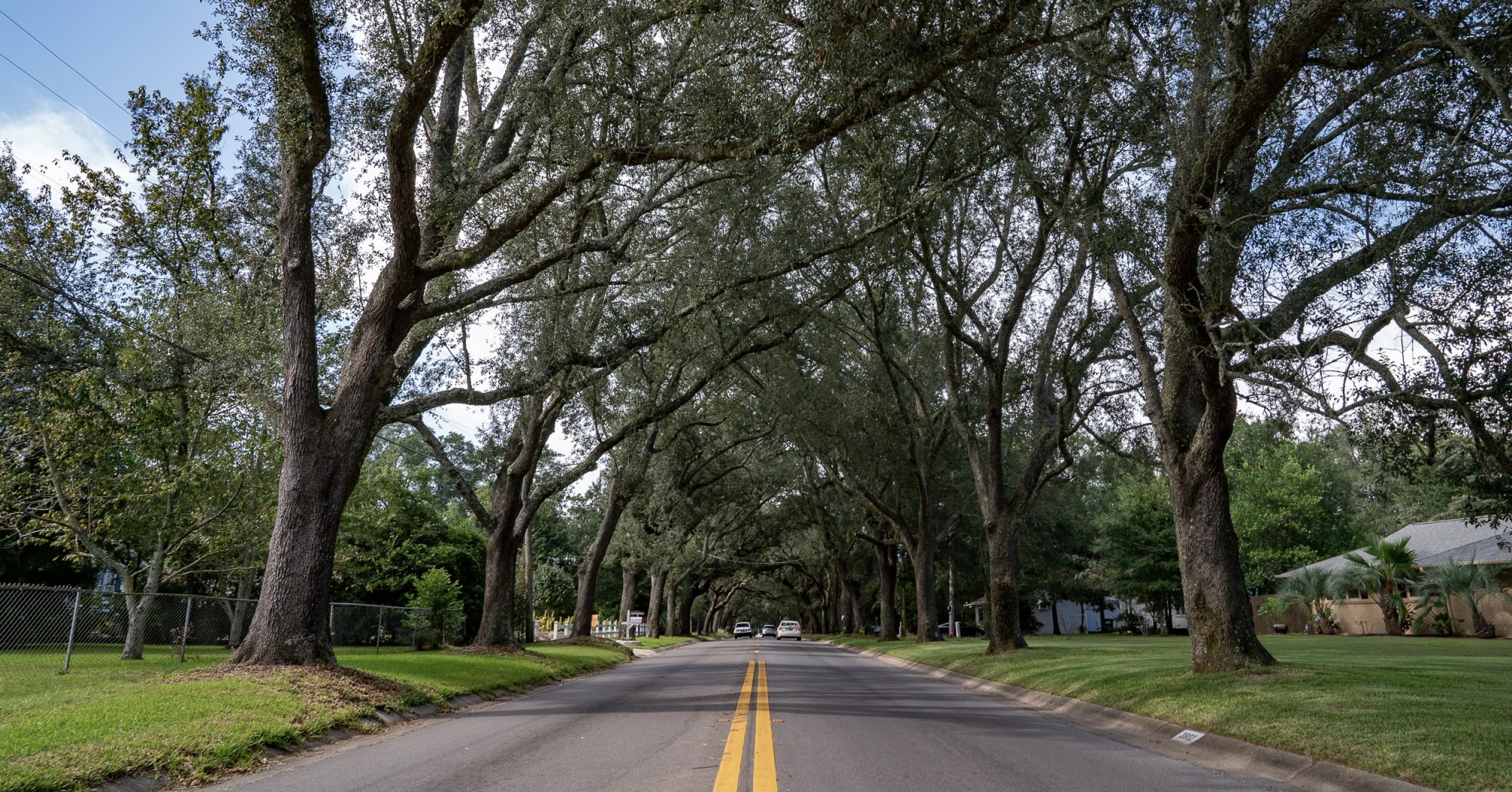 Ansley Moore - Downtown - Levin Rinke Realty